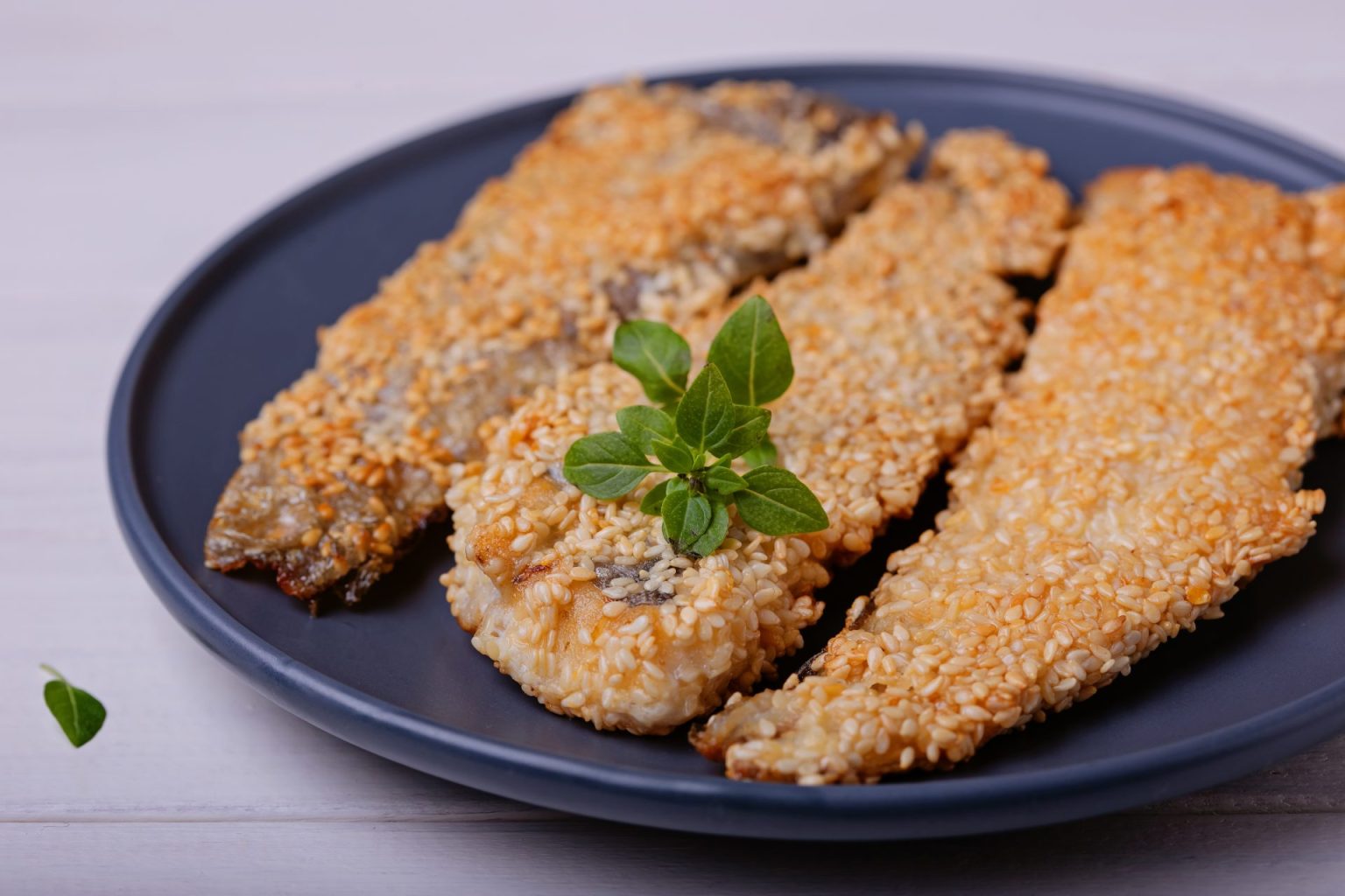 Hoki - FRIOSUR | AYSÉN-PATAGONIA