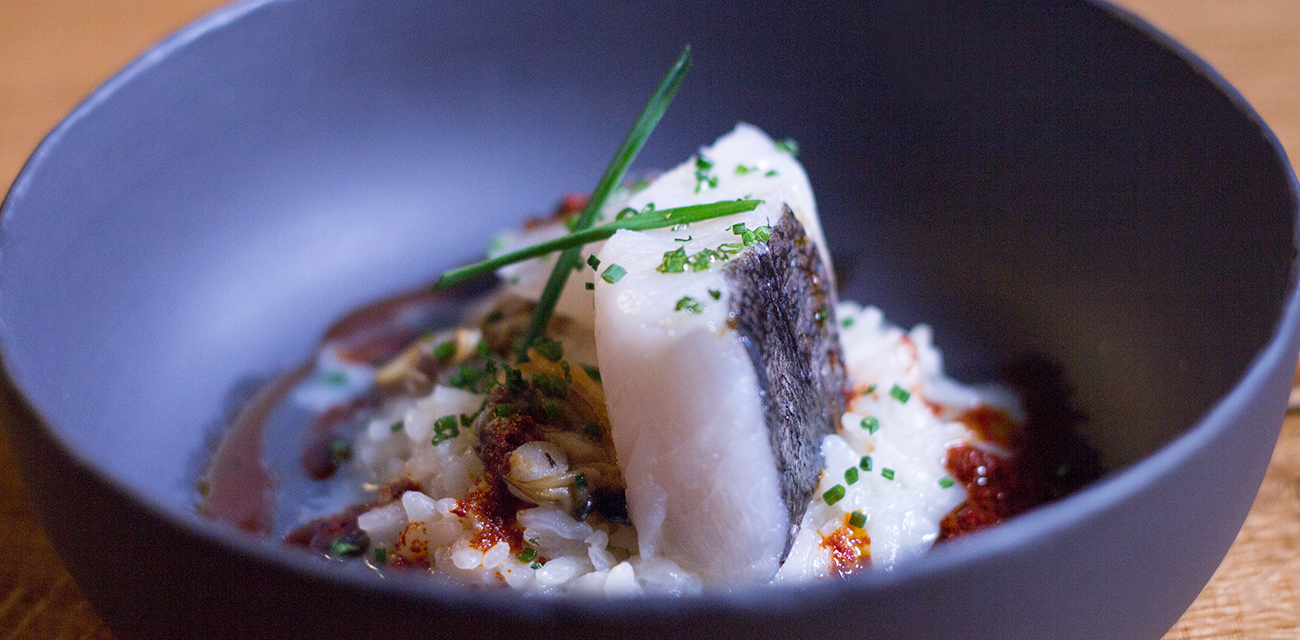 Merluza Austral - FRIOSUR | AYSÉN-PATAGONIA